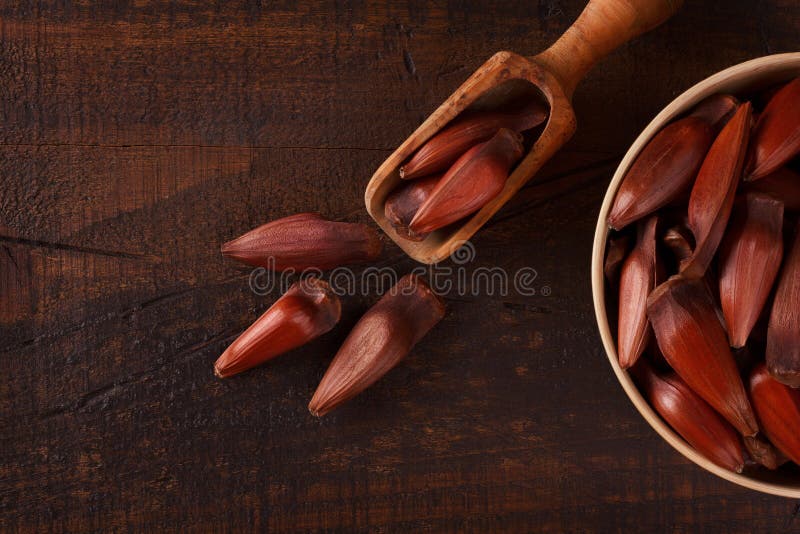 Pinhao - pinho brasileiro imagem de stock. Imagem de fundo - 87621033