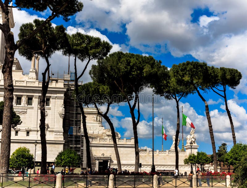 Pini a Roma, Vicino Alla Piazza Venezia Fotografia Stock - Immagine di ...