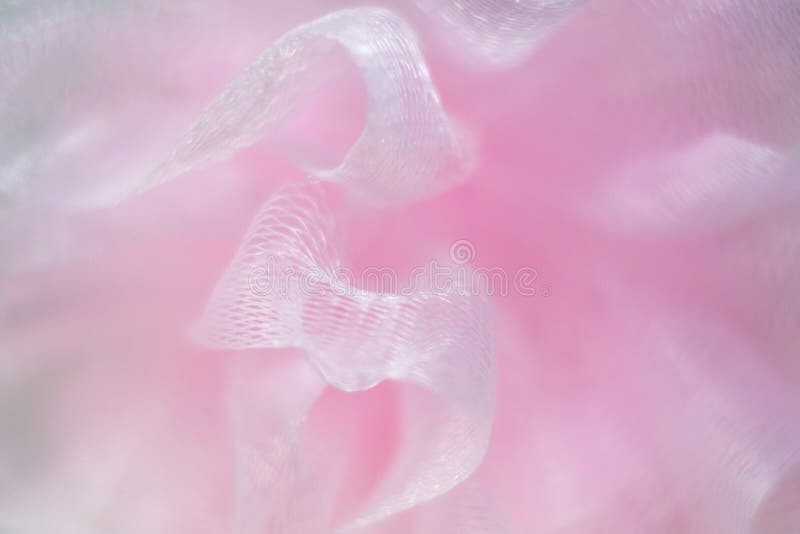 Pink Abstract Blur Background. Stock Image - Image of backdrop, plant ...