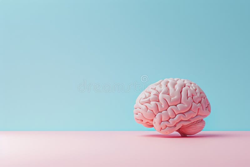 Pink Anatomical Brain Model Sitting on a Pink Surface with a Blue ...