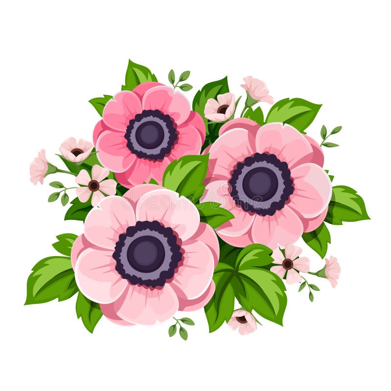 Pink Anemone Flowers. Vector Illustration. Stock Vector - Illustration ...