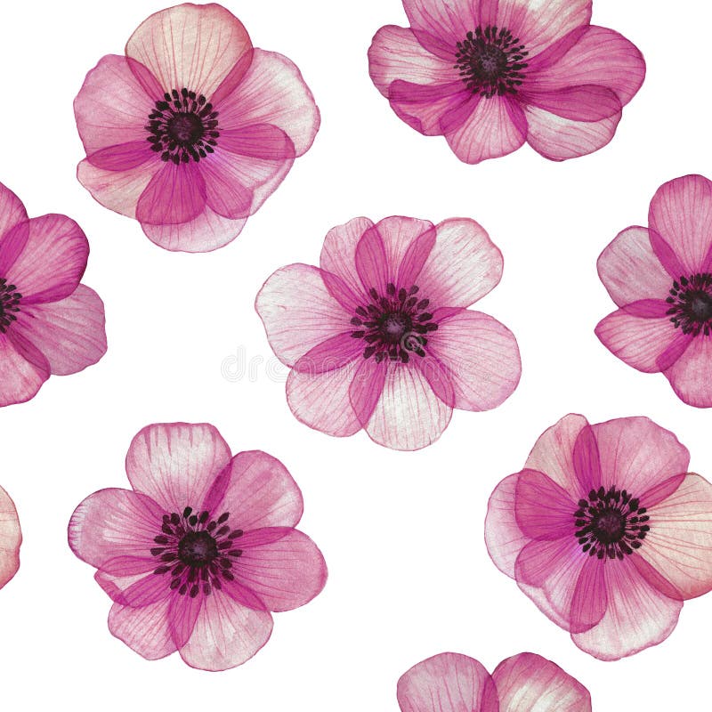 Pink Anemones Seamless Pattern Watercolor Poppy Flowers Botanical Print