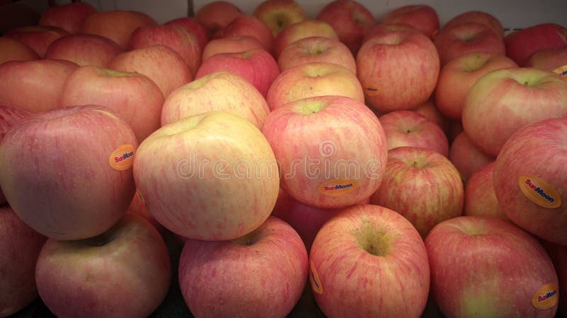 Pink Apple Fruit stock image. Image of produce, plant - 317298795