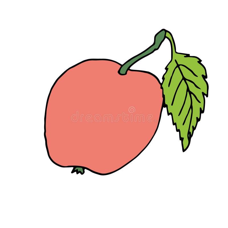 Pink apple stock illustration. Illustration of drawing - 237920852