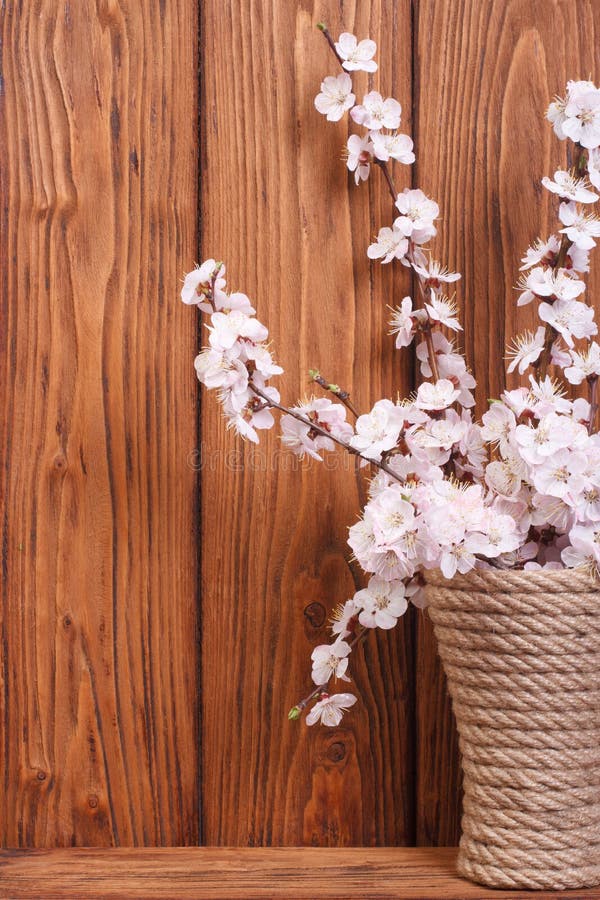 Pink Apricot Flowers in a Vase Stock Image - Image of cherry, petal ...