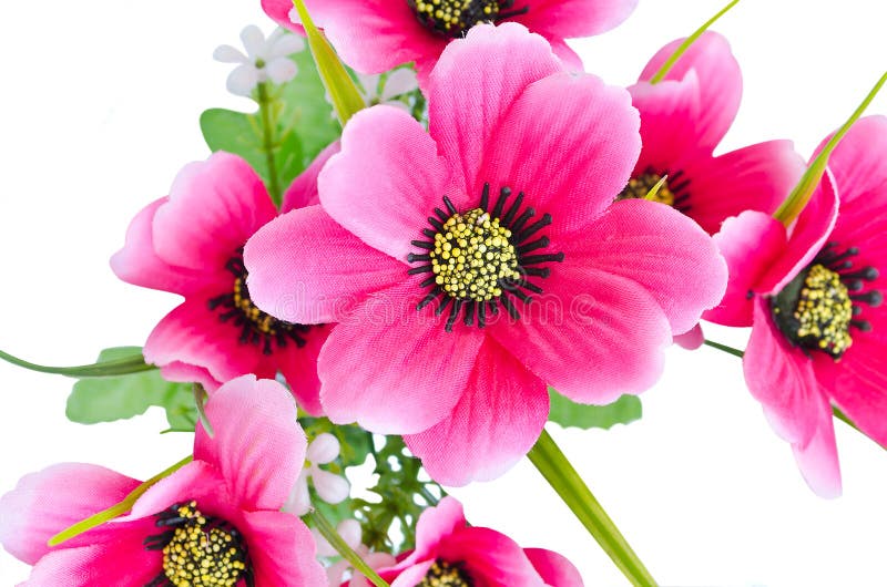 Pink Artificial Flower on White Stock Image - Image of bouquet, fabric ...