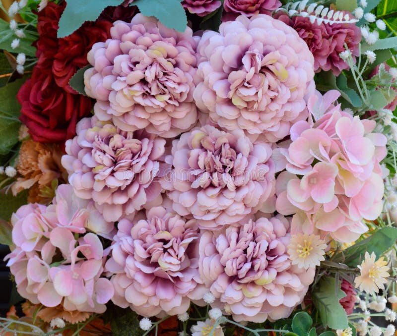 Pink Artificial Flowers in Clusters Background Design, Wallpaper ...