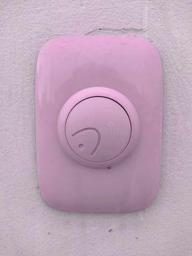 Close-up of Pink Flowers, Buds, Lovely, Sunlight, Beautiful, Wonderful ...