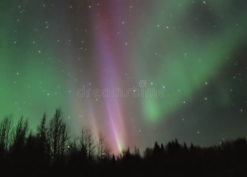 Pink Aurora Borealis stock image. Image of aurora, night - 151125