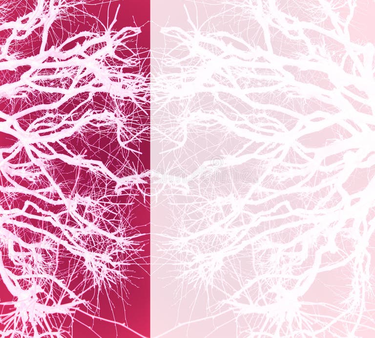 Red Pale Wood Background Stock Illustrations – 268 Red Pale Wood ...