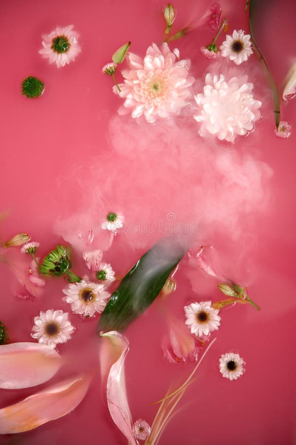 Pink Background. Photo of a Pink Water Surface with Flowers Floating in ...