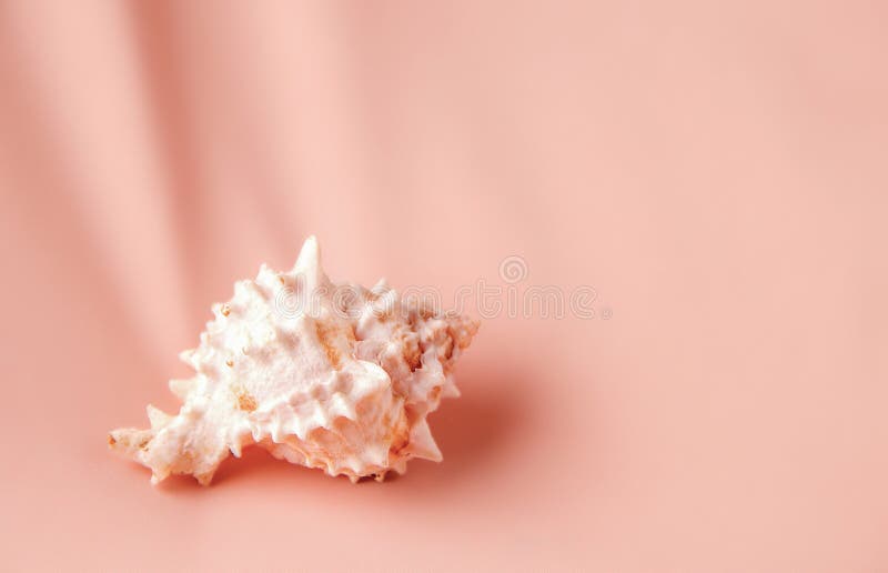 A Pink Background of Silks with a Shell on it. . Stock Photo - Image of ...