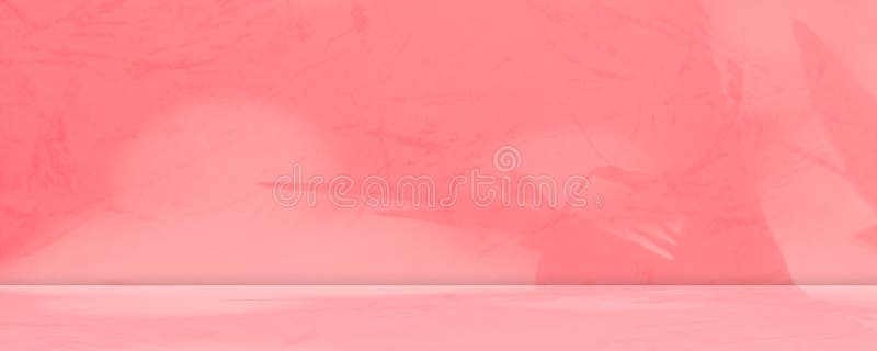 Pink Background Studio Pastel Gradient Wall Backdrop Color Shadow Leaf ...
