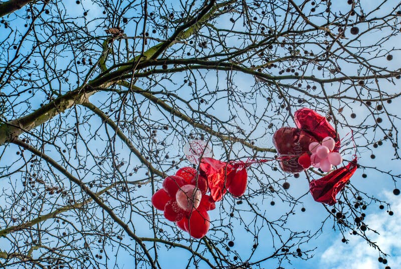 The Pink Balloon is Stuck on the Tree Stock Image - Image of tree ...