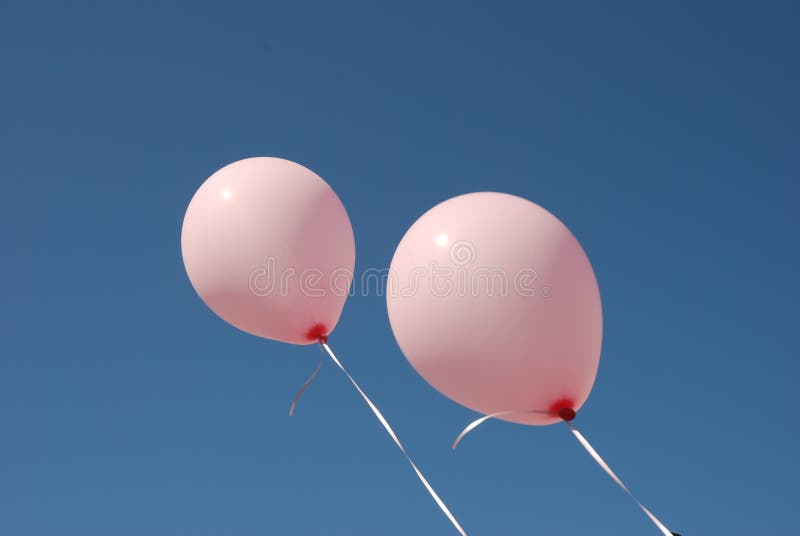 39,782 Pink Balloons Stock Photos - Free & Royalty-Free Stock Photos ...