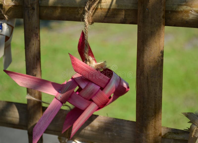 Pink bamboo fish stock photo. Image of plaid, minimal - 164631072