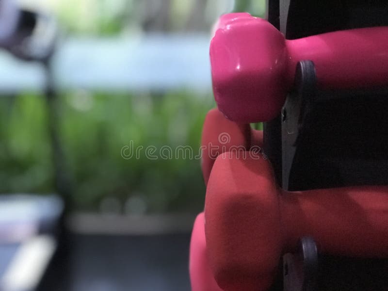 Pink Barbell stock photo. Image of exercise, dumbbell - 45299268