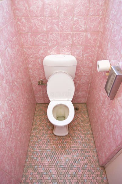 Pink Bathroom Toilet stock photo. Image of tacky, open - 8041478