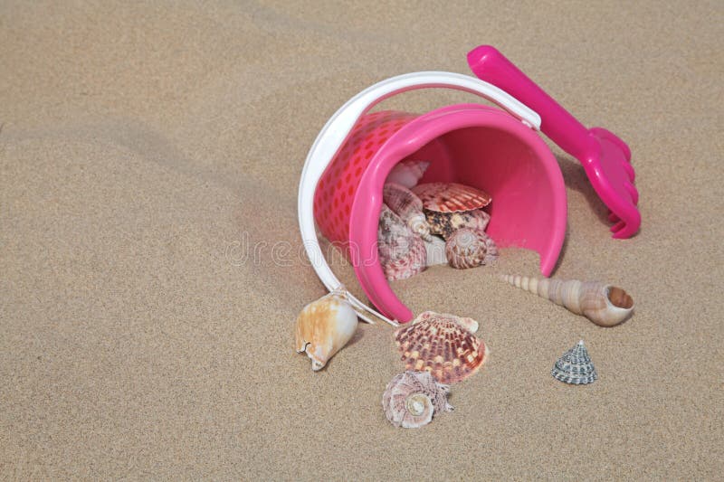 Pink Beach Bucket for Child and Shells Placed on the Sand Stock Photo ...