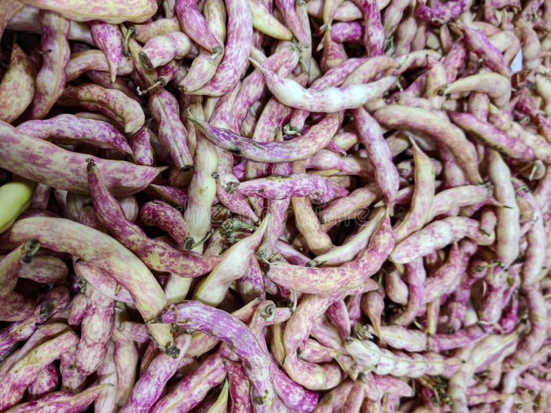 Pink Beans on Display at the Market Stock Photo - Image of cooking ...