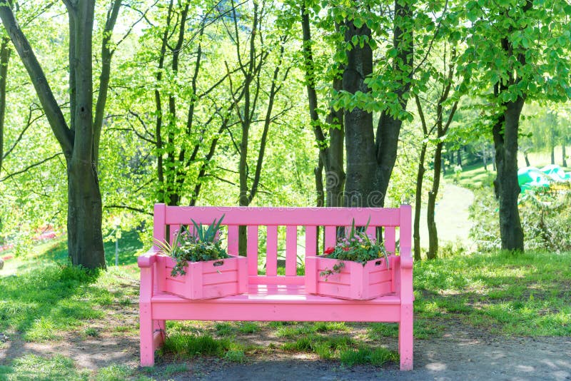 Pink Bench in the Green Park Stock Photo - Image of furniture, empty ...