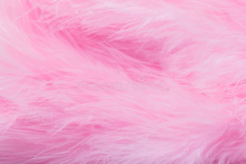 Pink Bird Feathers in Soft and Blur Style, Fluffy Pink Feather Stock ...