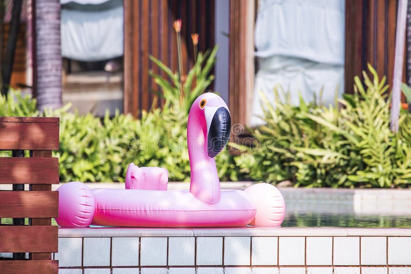 Pink Bird Float Ring Floating in the Pool Stock Image - Image of float ...