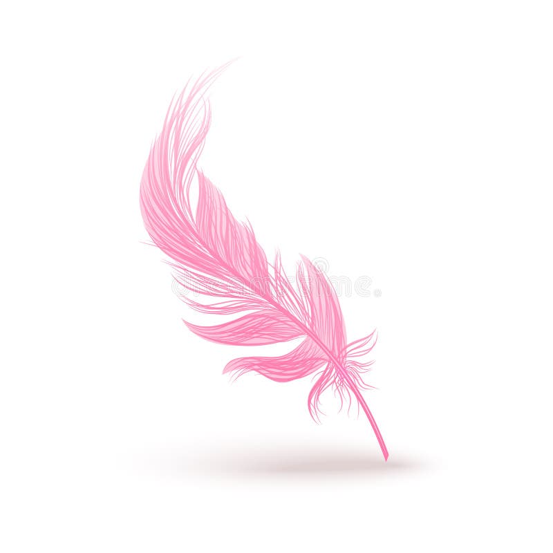Realistic Falling Bird Fluff Stock Illustrations – 719 Realistic ...