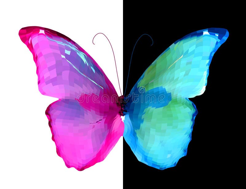Pink and Blue Half of the Butterfly. Vector Stock Vector - Illustration ...