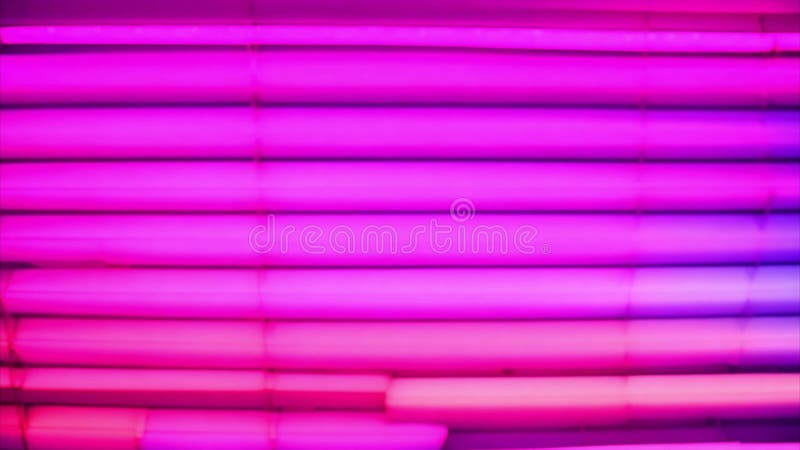 Pink and Blue Neon Lights Abstract Stock Footage - Video of minimal ...