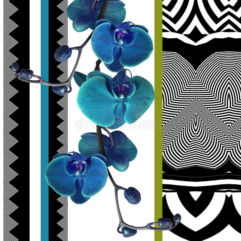 Blue Orchid Geometric Pattern Stock Illustration - Illustration of ...