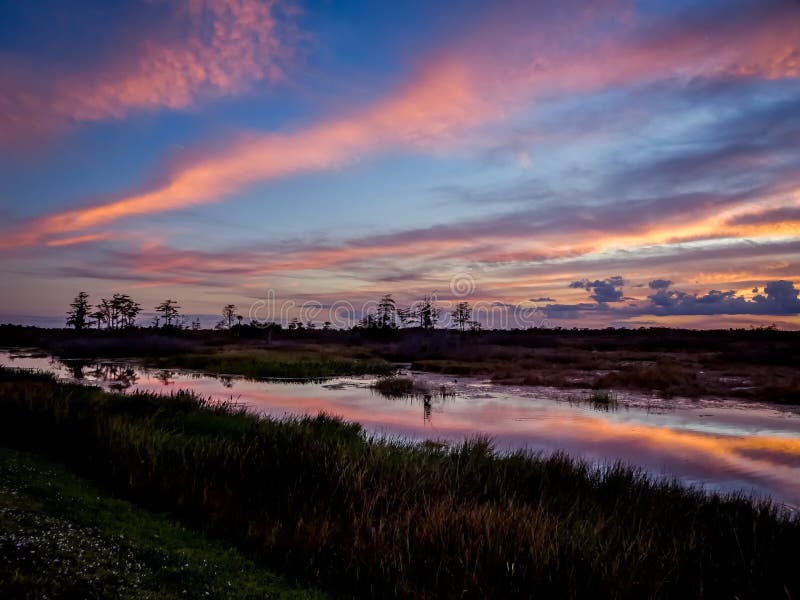 Sunset with Pink Clouds in the Swamp River Stock Photo - Image of reeds ...