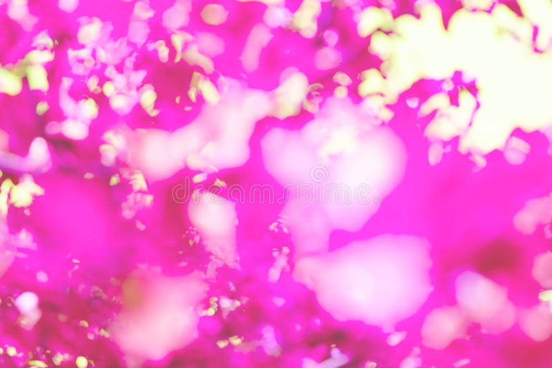 Pink Bokeh Abstract Lights Backgrounds Stock Photo - Image of beautiful, light: 149515942