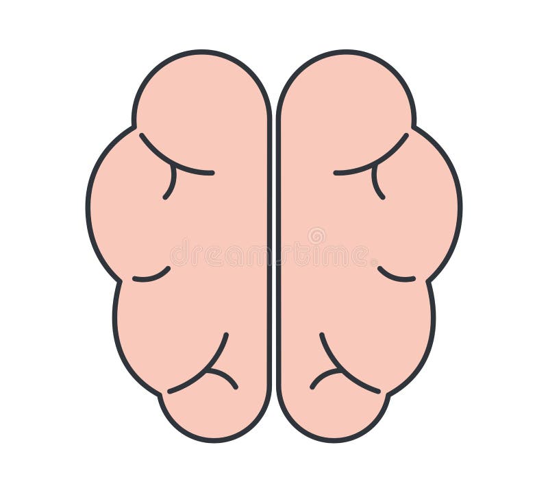 Pink brain icon stock vector. Illustration of mind, examination - 215952482