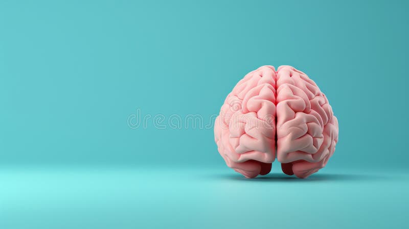 Understanding Pink Brain Blue Stock Photos - Free & Royalty-Free Stock ...