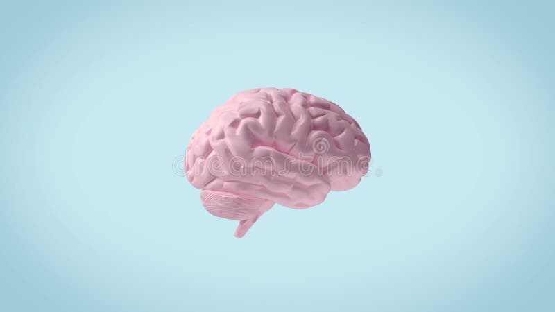 Pink Brain Rotating on Light Blue Background Stock Video - Video of ...