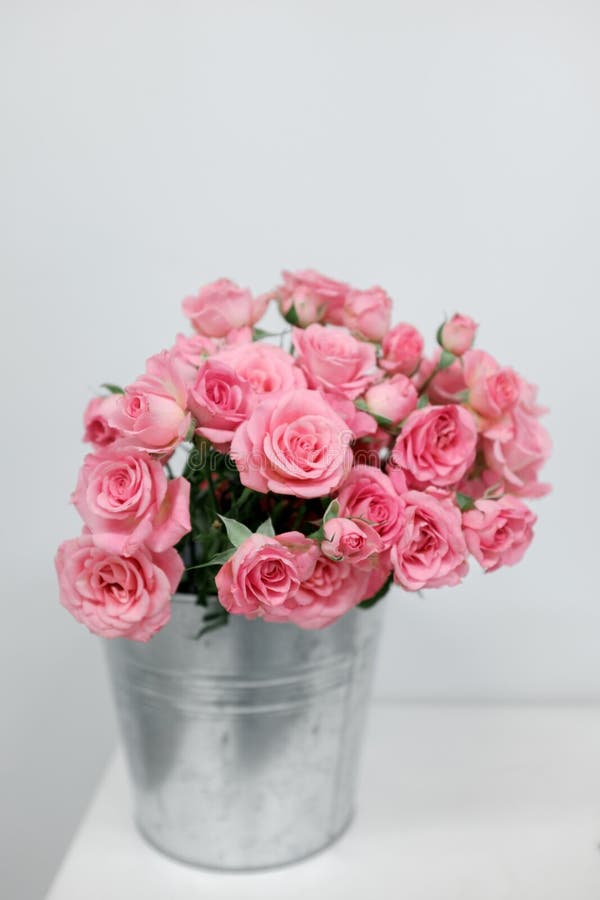 Pink Bush Roses in a Bucket Stock Image - Image of flower, freshness ...