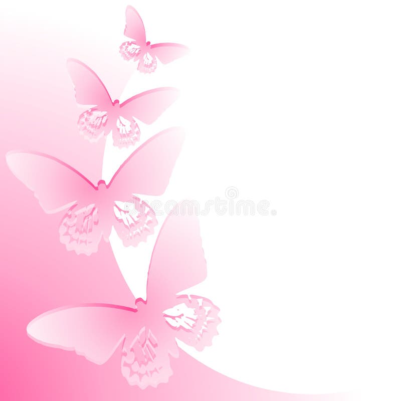 Elegant Butterfly Borders