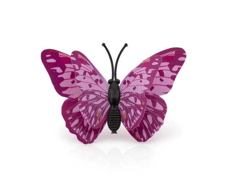 Pink Butterfly on a White Background Stock Photo - Image of beige ...