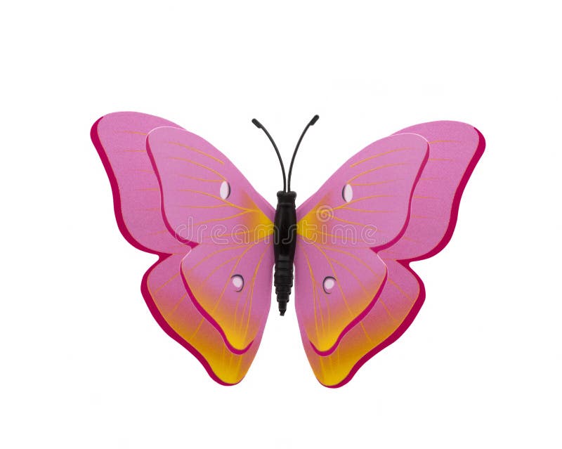 Pink Butterfly on a White Background Stock Photo - Image of beautiful ...