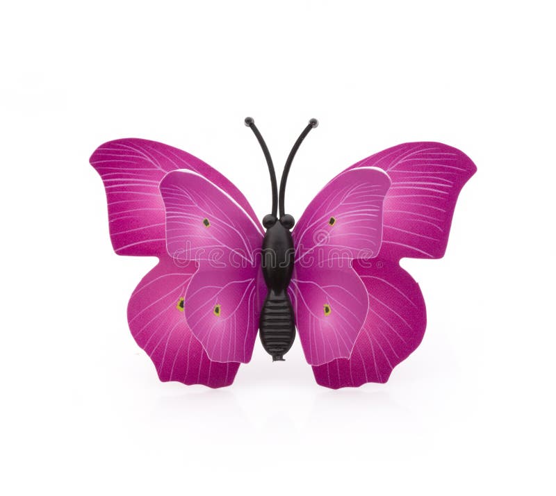 Pink Butterfly on a White Background Stock Image - Image of biology ...