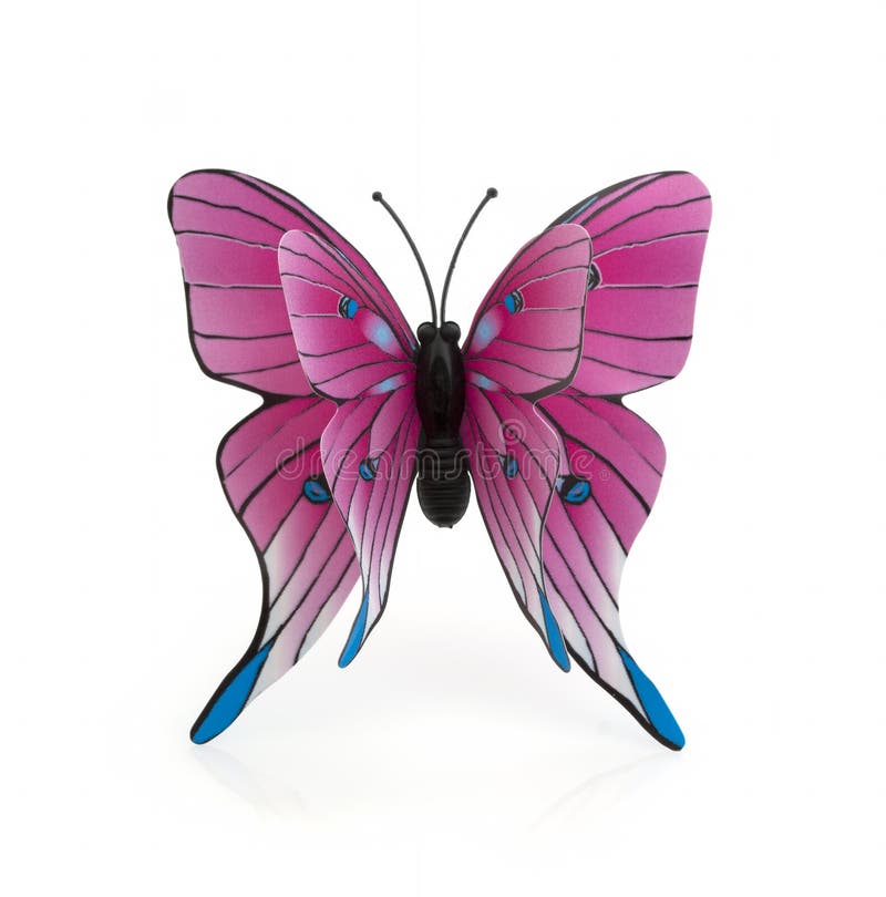 Pink Butterfly on a White Background Stock Photo - Image of animal ...
