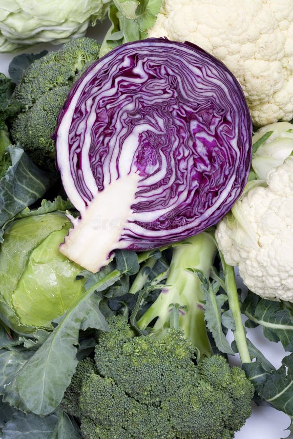 Pink cabbage stock image. Image of vertical, healthy, cabbage - 8611505