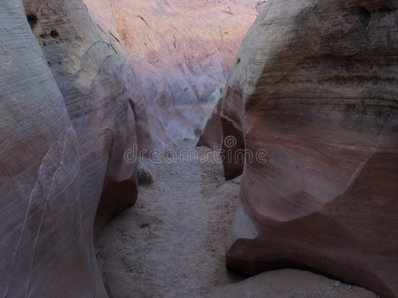 Pink Canyon stock photo. Image of pink, valley, state - 50231342