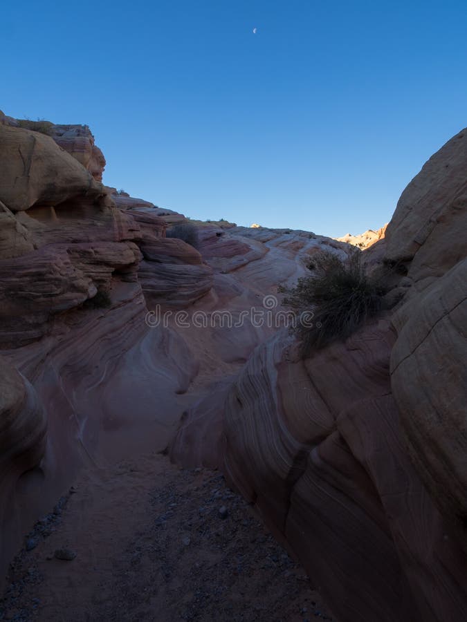 Pink Canyon stock image. Image of slot, fire, nevada - 50232003