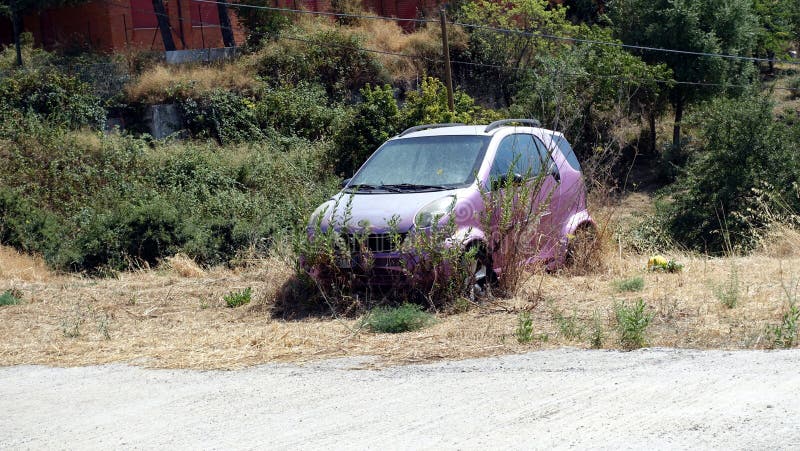 A Pink Car Abandoned among the Trees Not Far from the Road in the ...