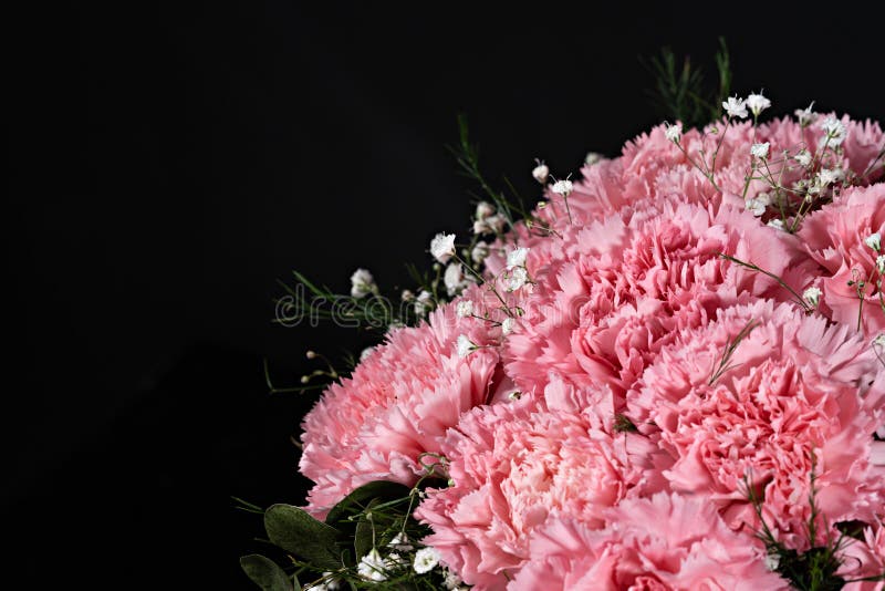 Pink Carnation Flowers Bucket on Black Background Close Up Stock Photo ...