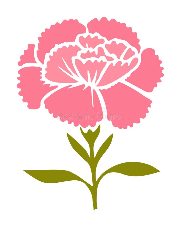 Pink Carnation Illustration Isolated in White Background Stock ...