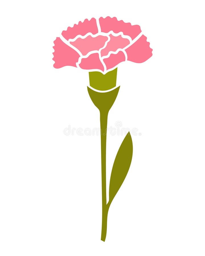 Pink Carnation Illustration Isolated in White Background Stock ...