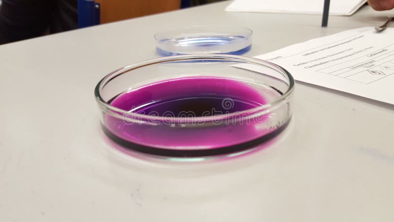 Pink Chemistry stock photo. Image of pink, chemistry - 80669144